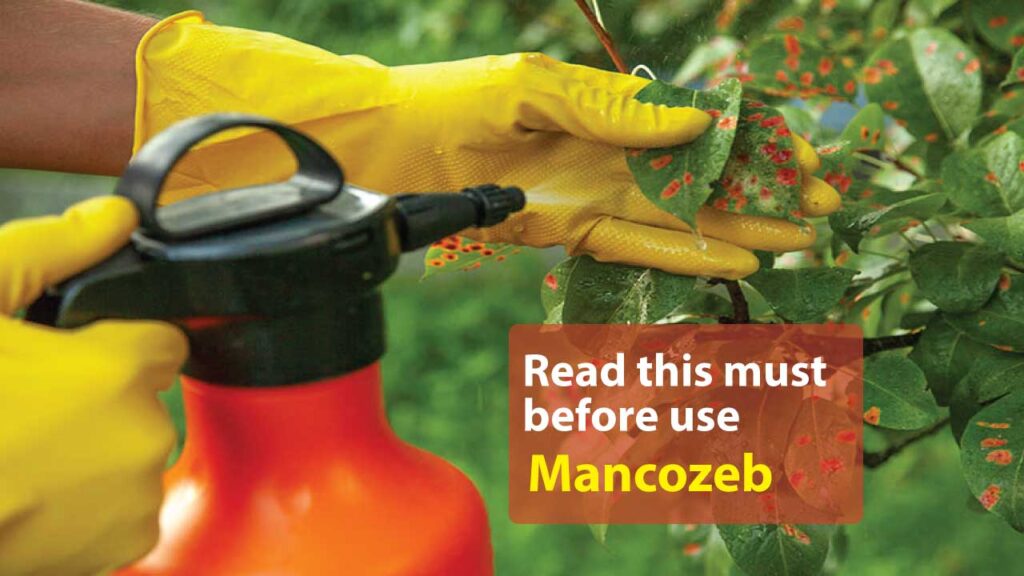 Mancozeb Fungicide: Usage, Safety, and Applications - Organic gardener tips