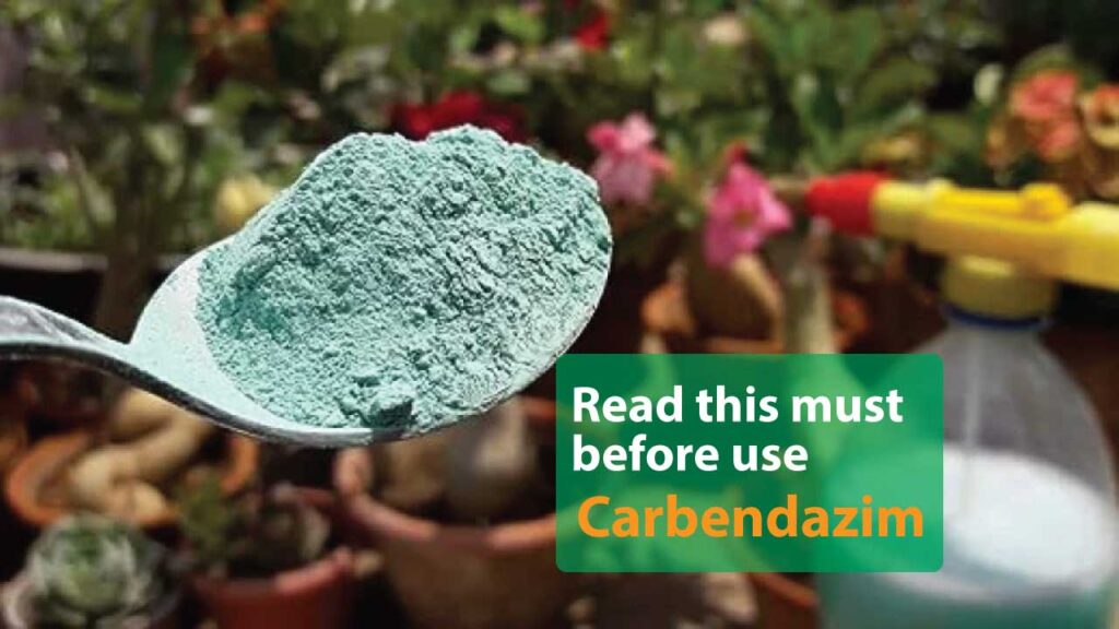 Carbendazim Fungicide: Guide for Safe and Effective Use - Organic ...